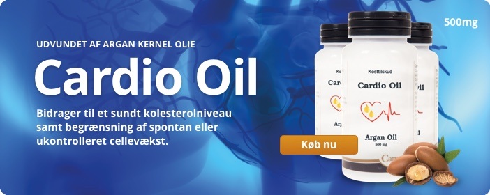 Forside - Camette.dk